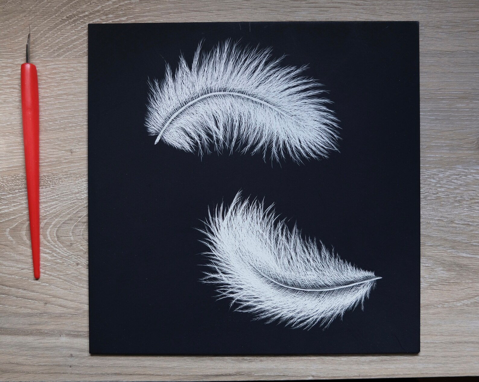 Feathers of a Dove, Print of My Handmade Scratchboard Black and White ...