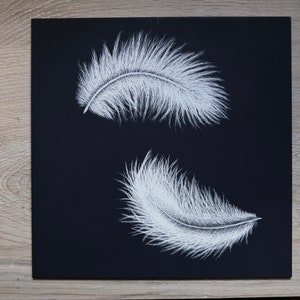 Feathers of a Dove, Print of My Handmade Scratchboard Black and White ...