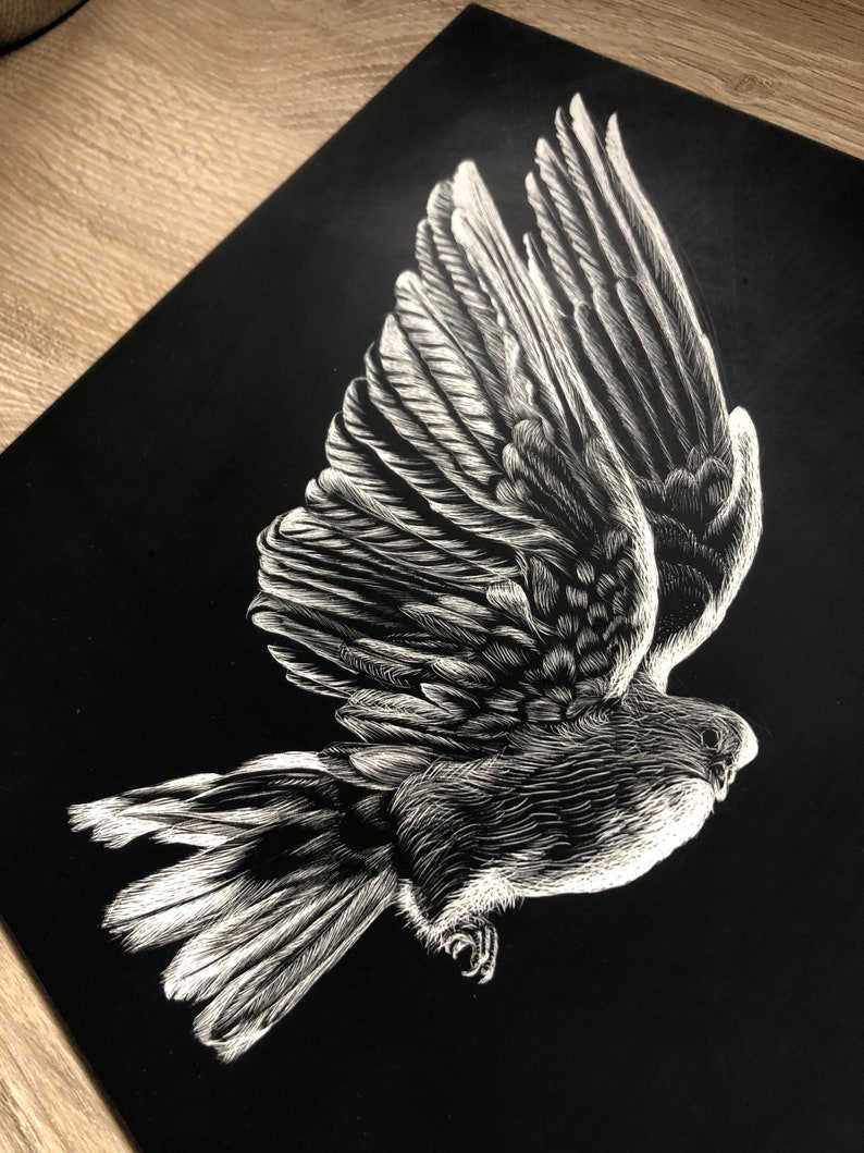 Dove Side View, Print of Handmade Scratchboard Black and White, 9x9in ...