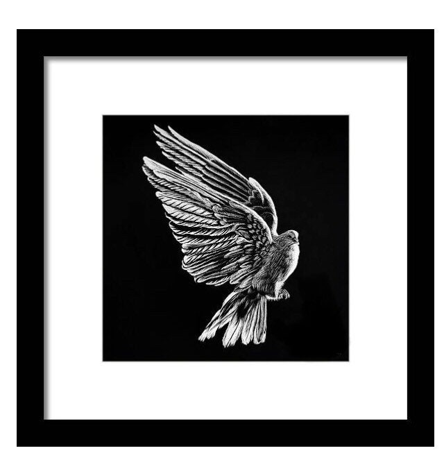 Dove Side View, Print of Handmade Scratchboard Black and White, 9x9in ...