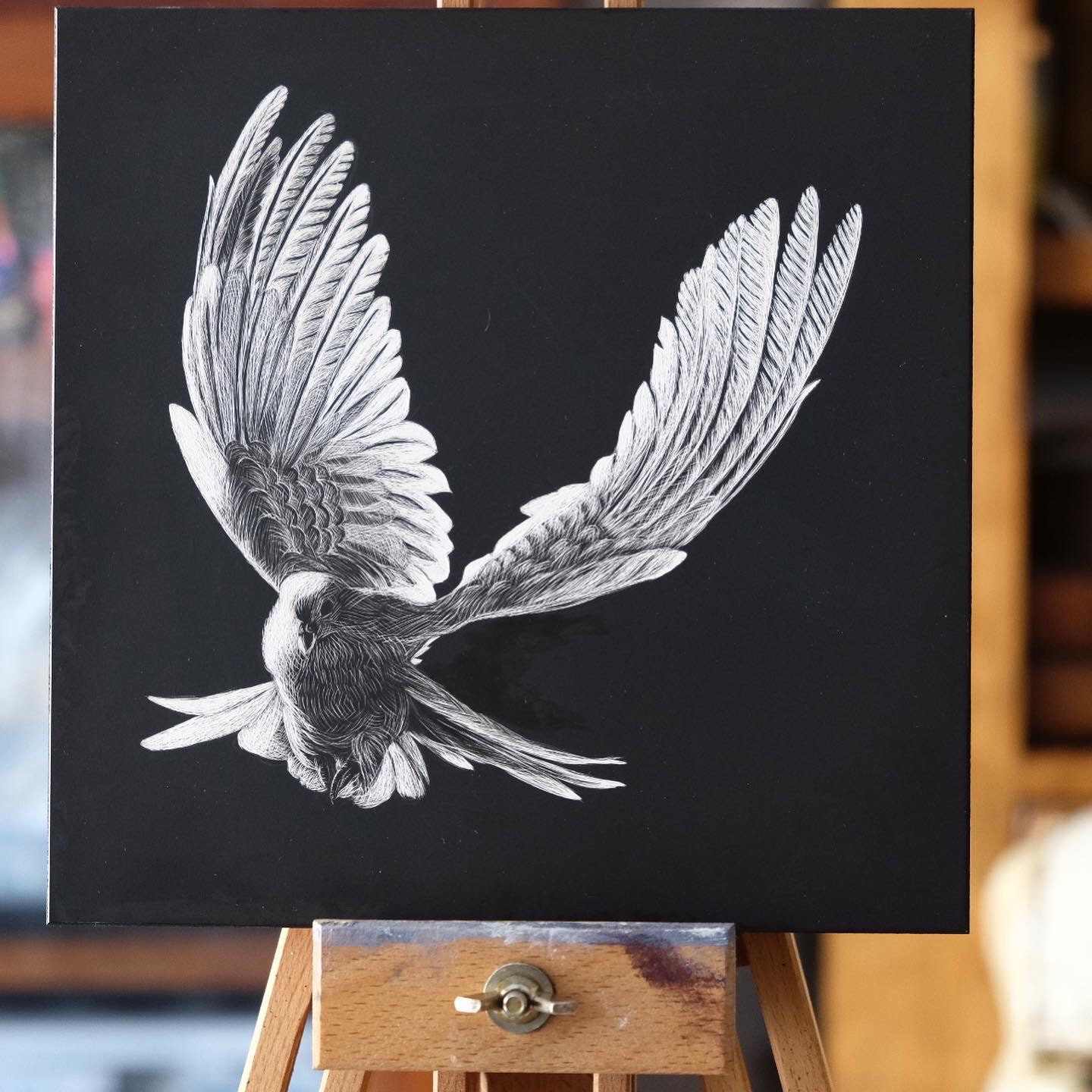 Dove in Flight Handmade Scratchboard Black and White Print - Etsy