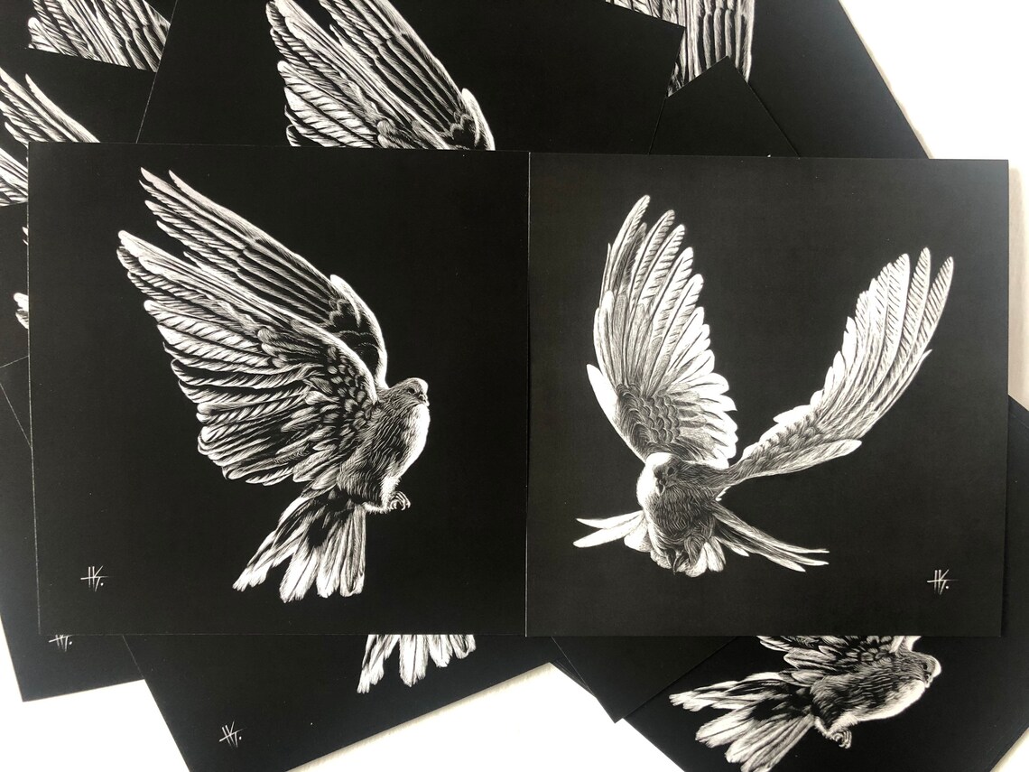 Feathers of a Dove, Print of My Handmade Scratchboard Black and White ...