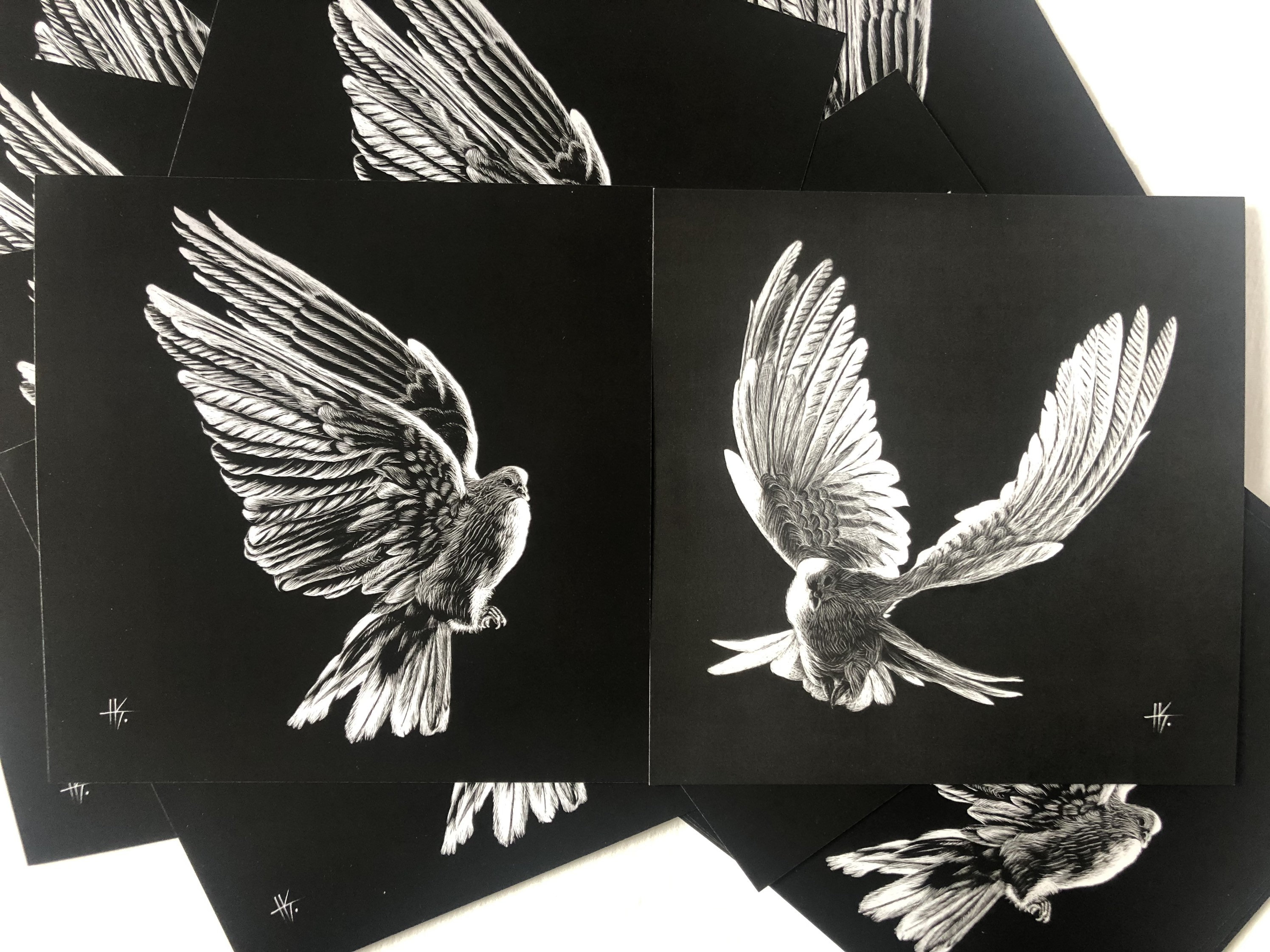 Dove in Flight Handmade Scratchboard Black and White Print - Etsy