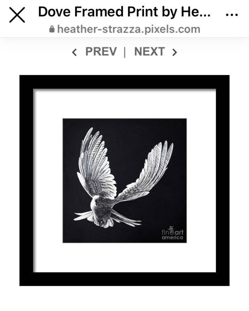 Dove in Flight Handmade Scratchboard Black and White Print | Etsy