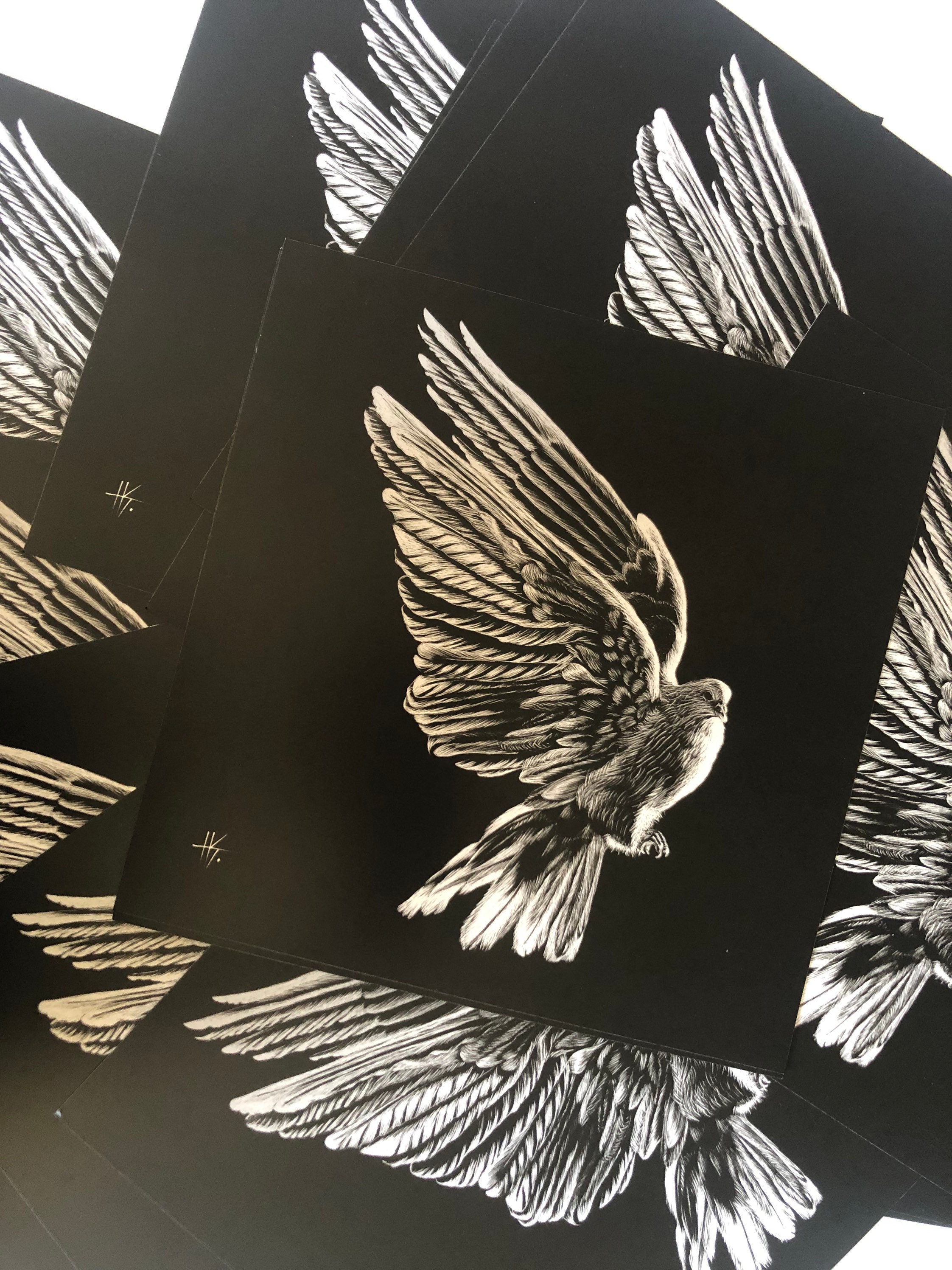 Dove Side View, Print of Handmade Scratchboard Black and White, 9x9in ...