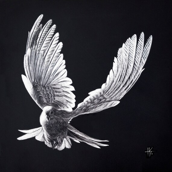 Dove in Flight Handmade Scratchboard Black and White Print | Etsy