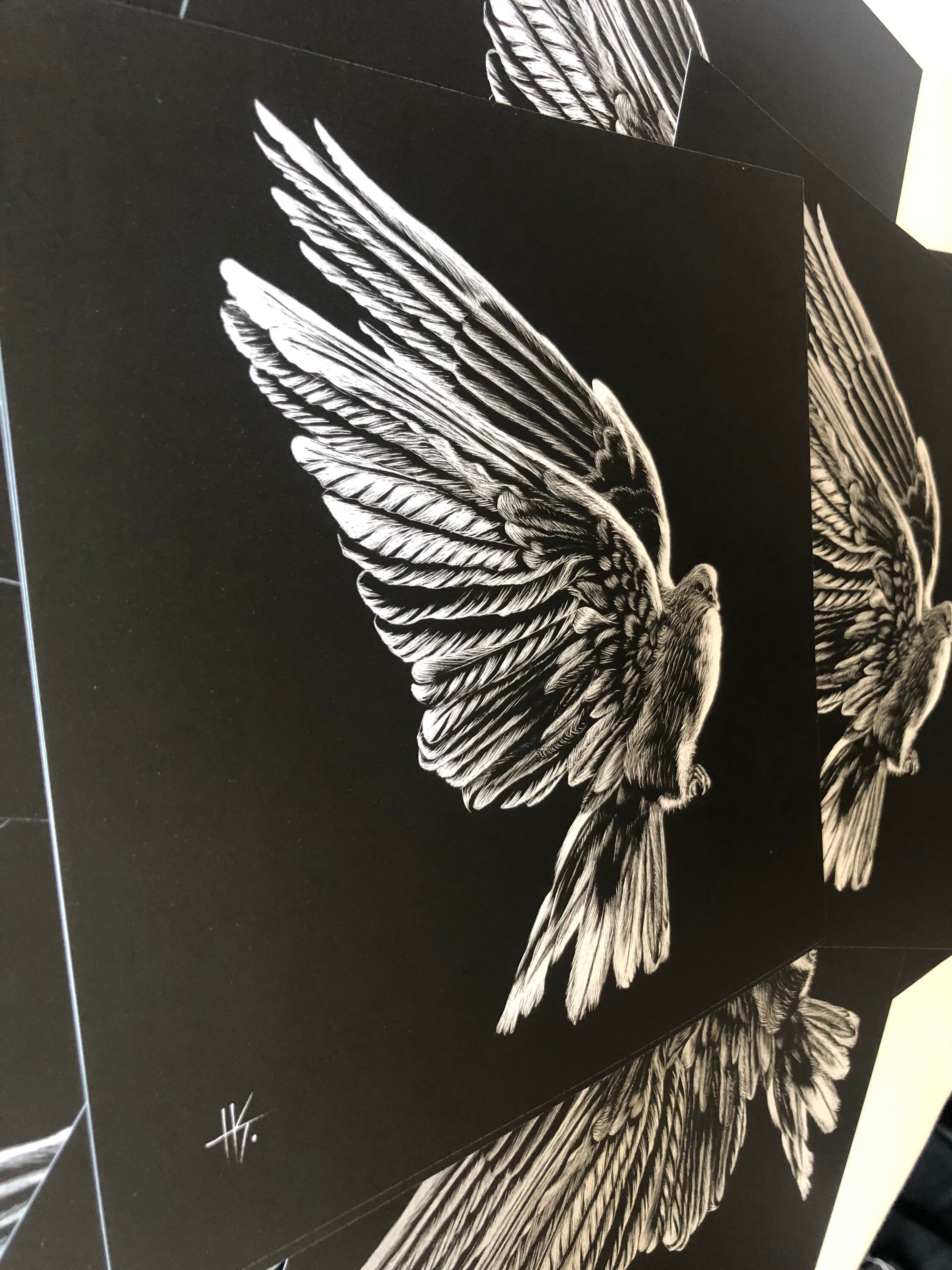 Dove Side View, Print of Handmade Scratchboard Black and White, 9x9in ...