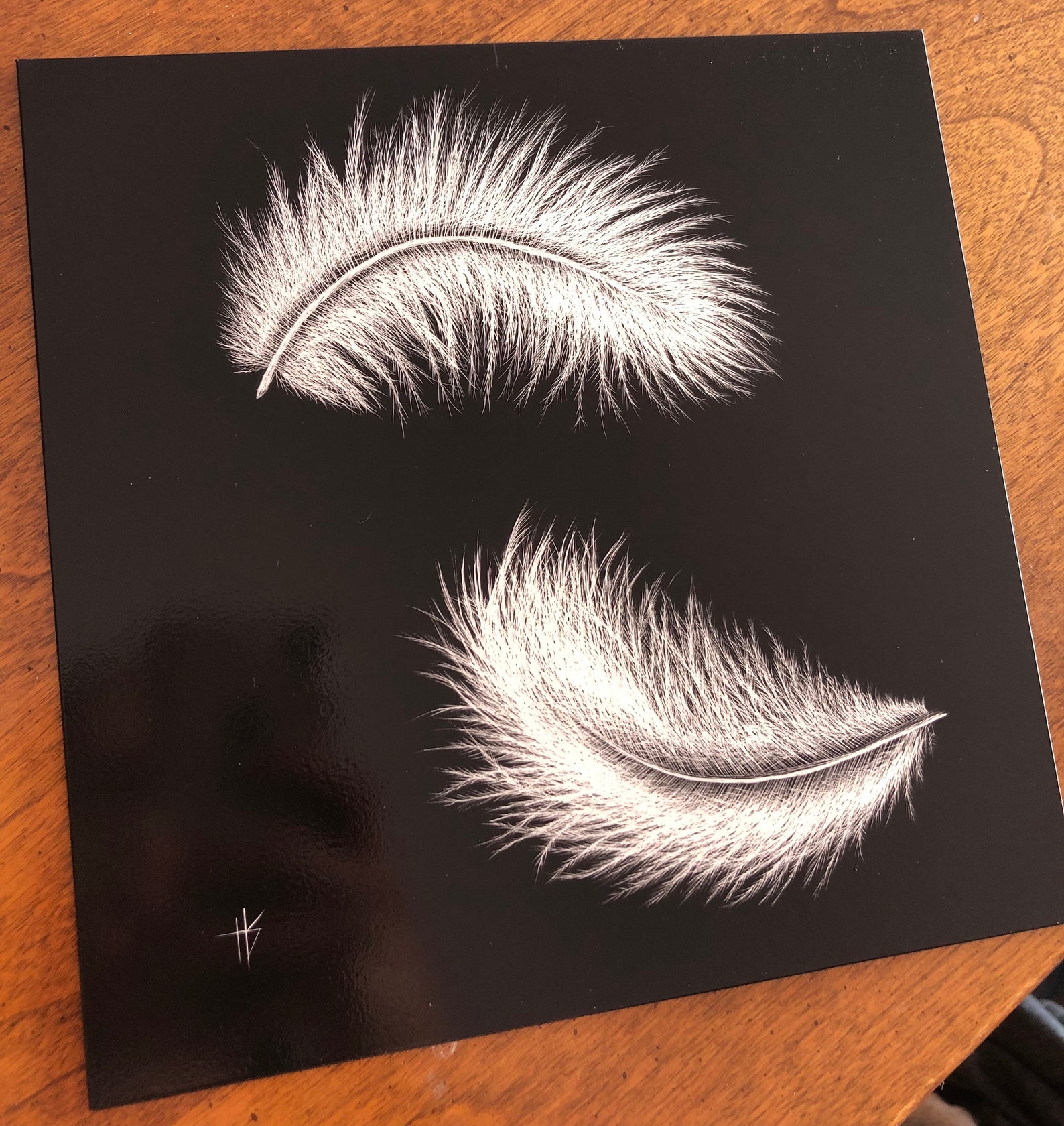 Feathers of a Dove, Print of My Handmade Scratchboard Black and White ...