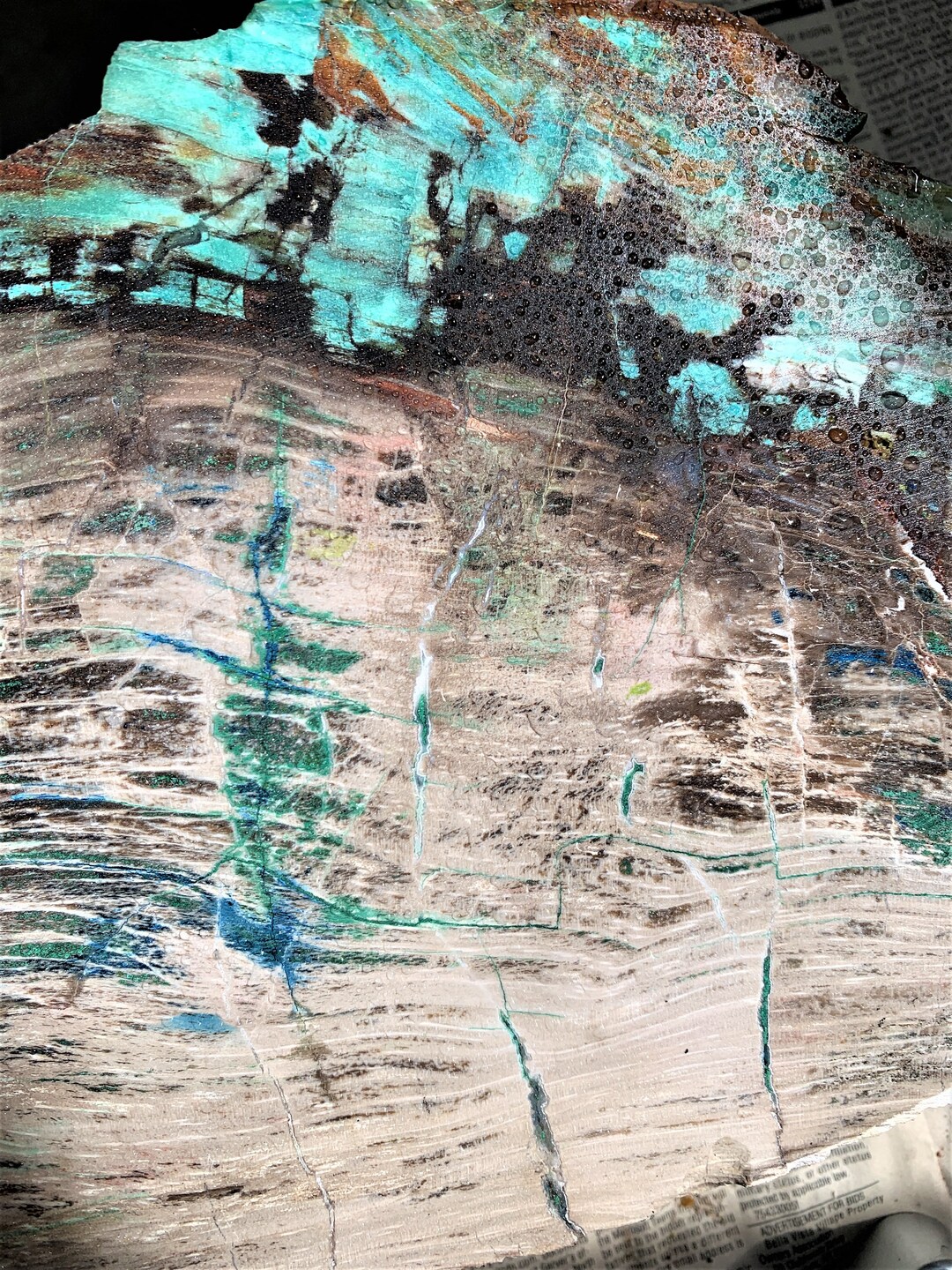 Colla Wood Petrified Wood Rough, Rare Slabbing Material Turkish for ...