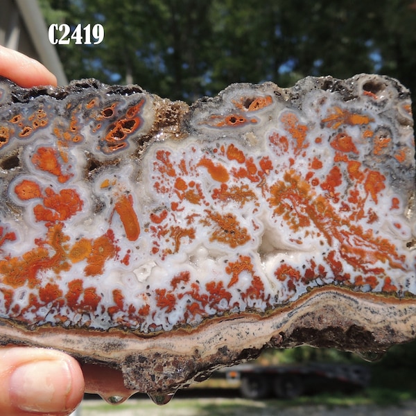 Wingate Pass Agate - Etsy