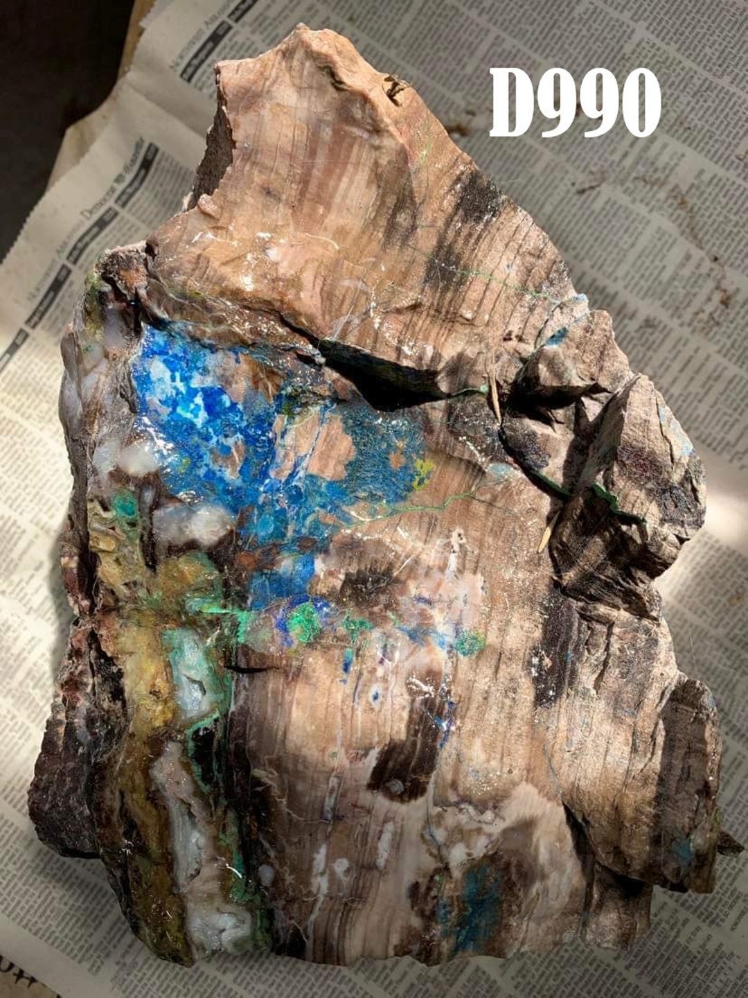 Colla Wood Petrified Wood Rough, Rare Slabbing Material Turkish for ...