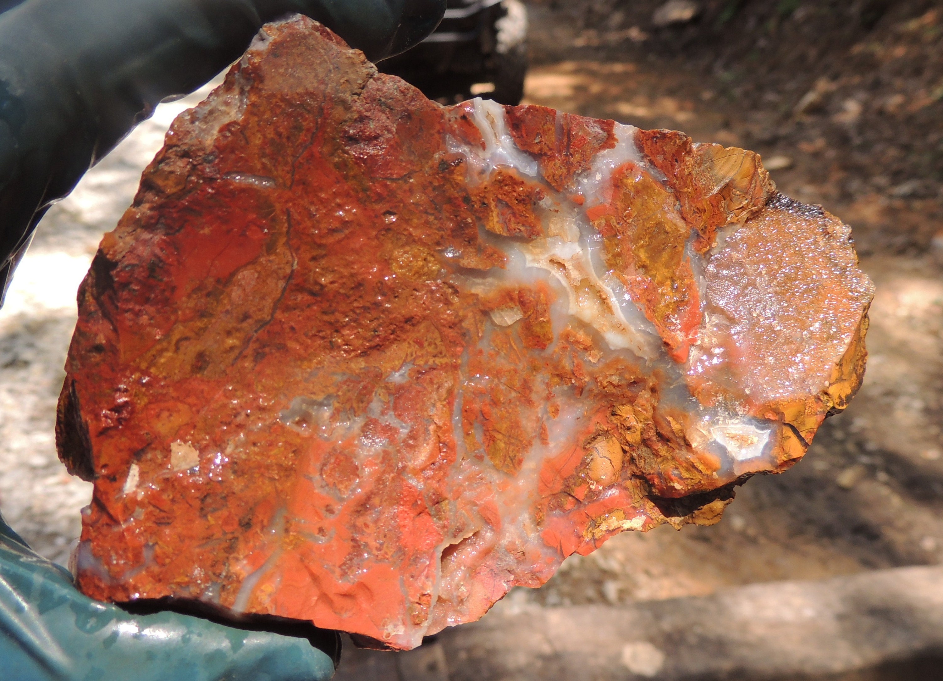 Lavic Siding Jasper From California Bulk Lot Medium or Small Flat Rate ...
