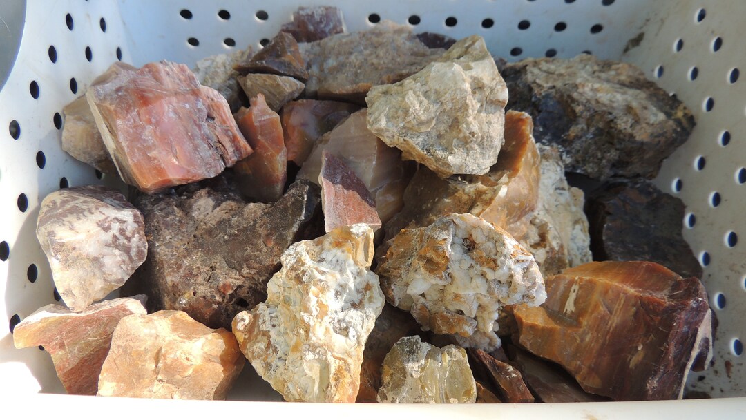 Common Opal Lovelock NV, Aka Howardite Aka Rattlesnake Jasper or Royal ...