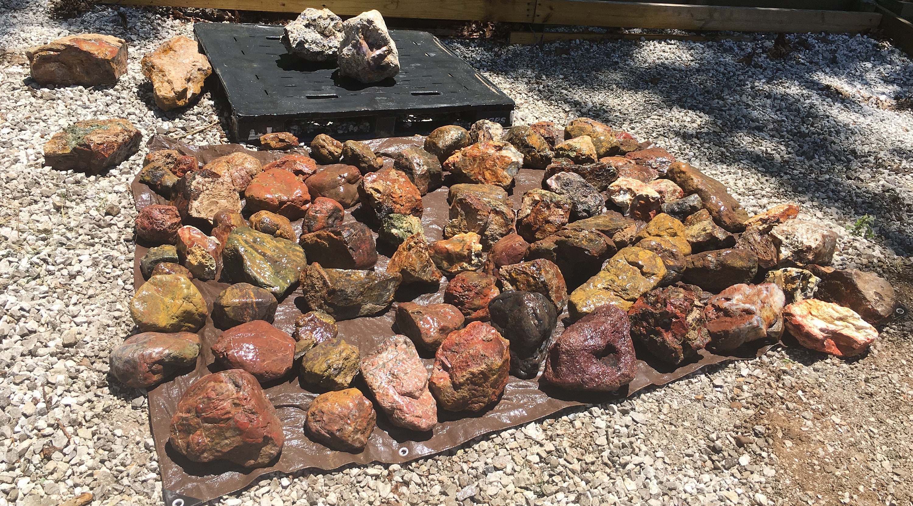 Stoney Creek Jasper From California Bulk Lot Large or Medium Flat Rate ...