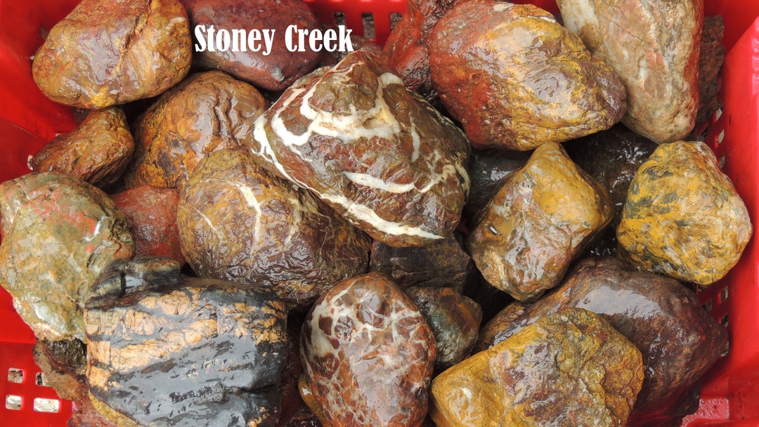 Stoney Creek Jasper From California Bulk Lot Large or Medium Flat Rate ...