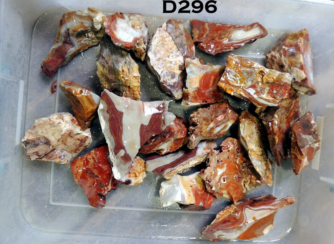 Goldfield Gemfield Nevada Chalcedony Med to Large Tumble Hard Takes a ...