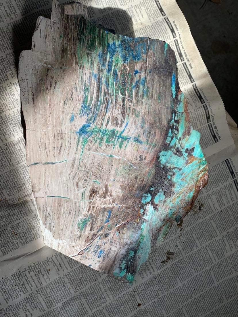 Colla Wood Petrified Wood Rough, Rare Slabbing Material Turkish for ...