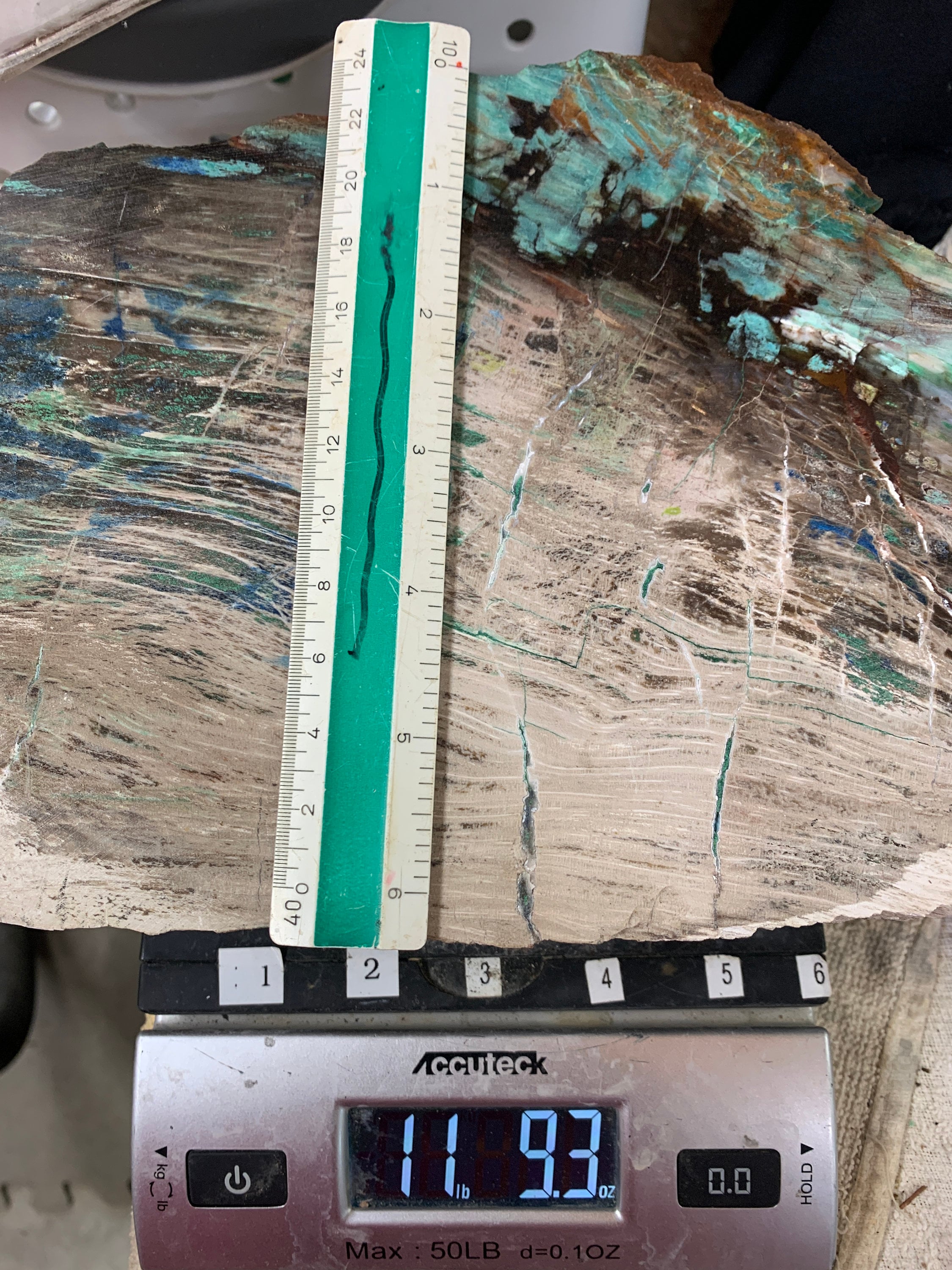 Colla Wood Petrified Wood Rough, Rare Slabbing Material Turkish for ...