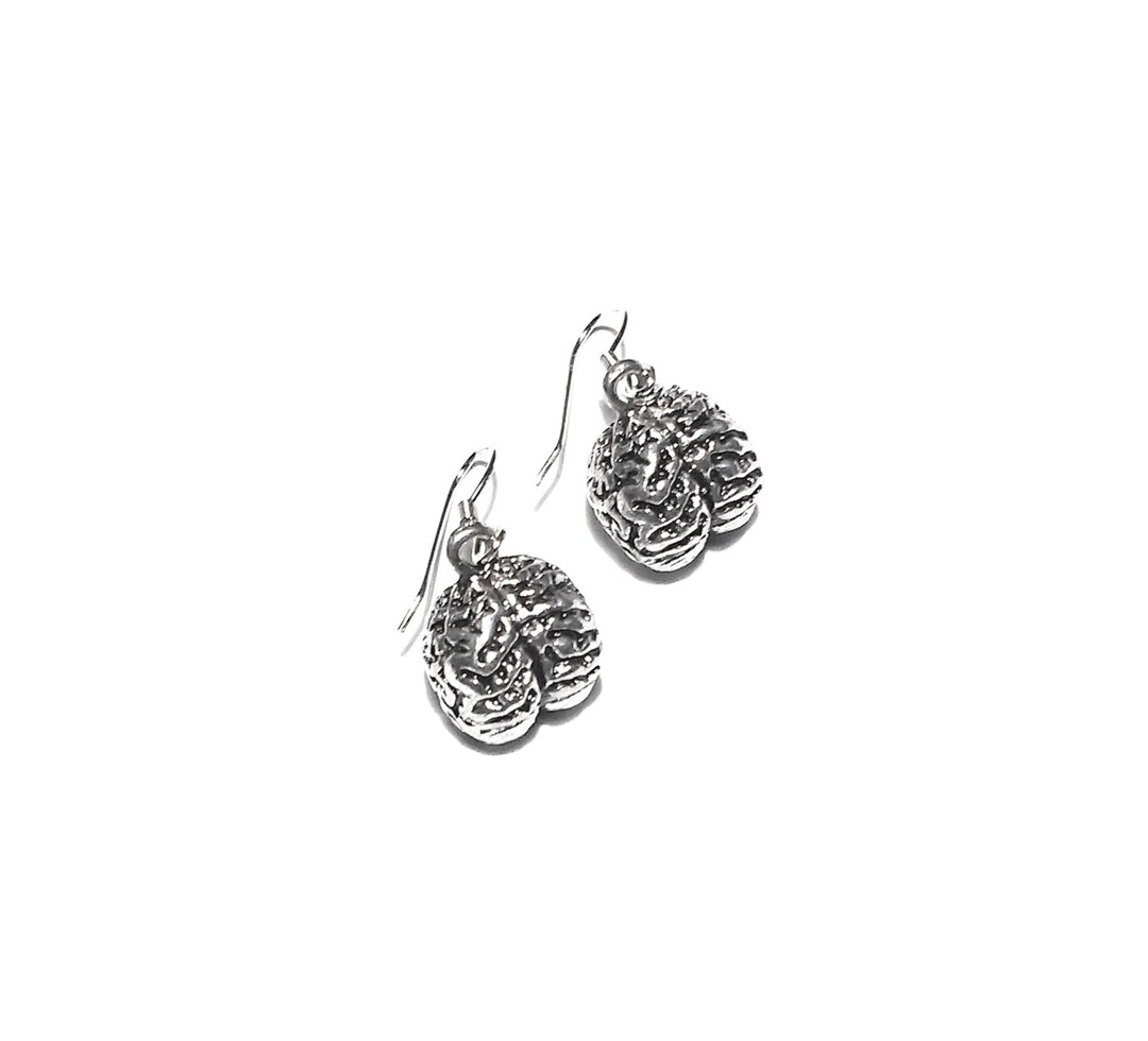 Brain Earrings/brain Jewelry/zombie Jewelry/zombies/zombie Brains/brain ...