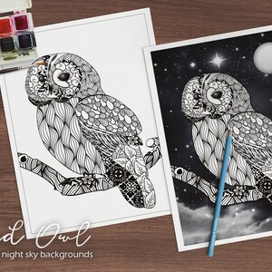 Tangled Owl Colouring Pages Adult Colouring Pages Owls Zentangle Owl ...