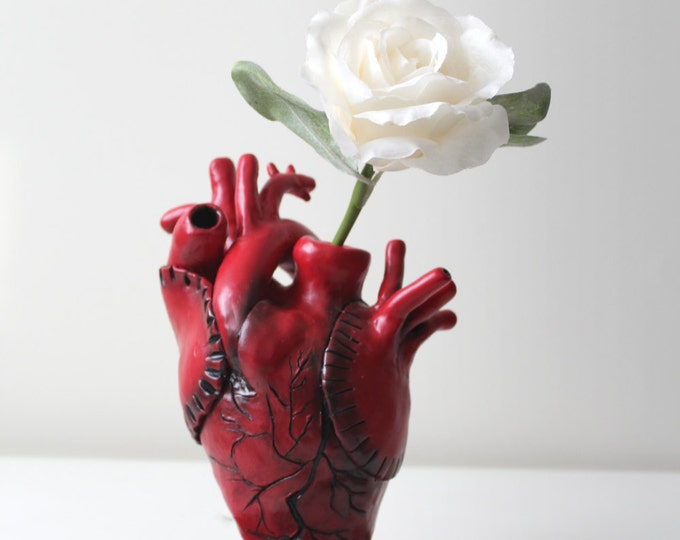 Anatomical Heart Vase, Anatomical Heart Sculpture - Etsy