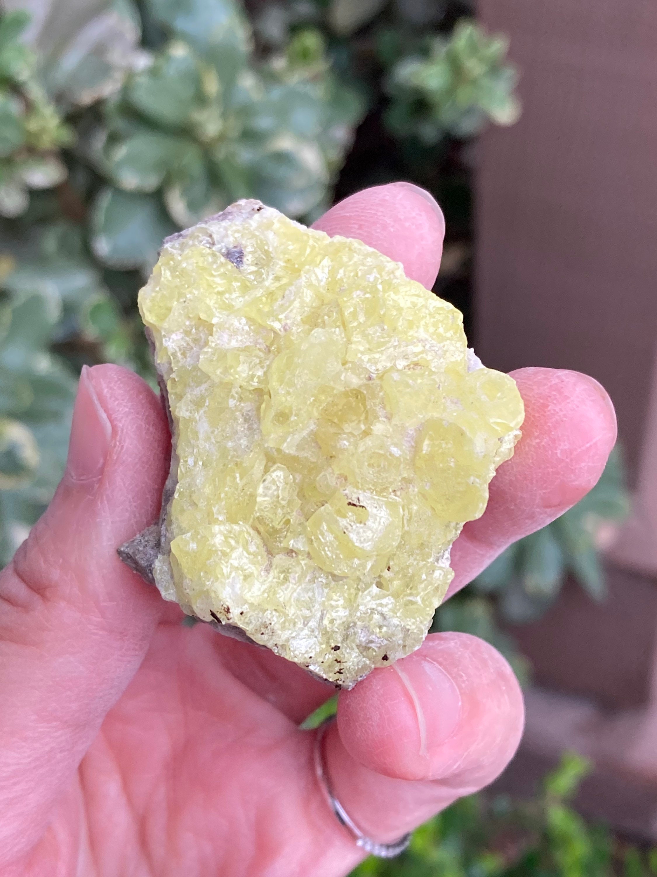 Where Is Sulfur Found In Nature