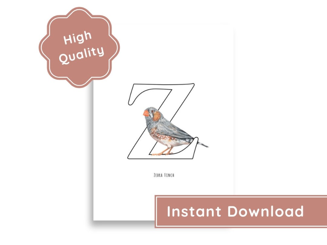 Zebra Finch 'Z' Poster Digital Download - Etsy