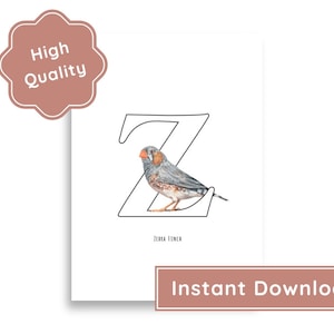 Zebra Finch 'Z' Poster Digital Download - Etsy