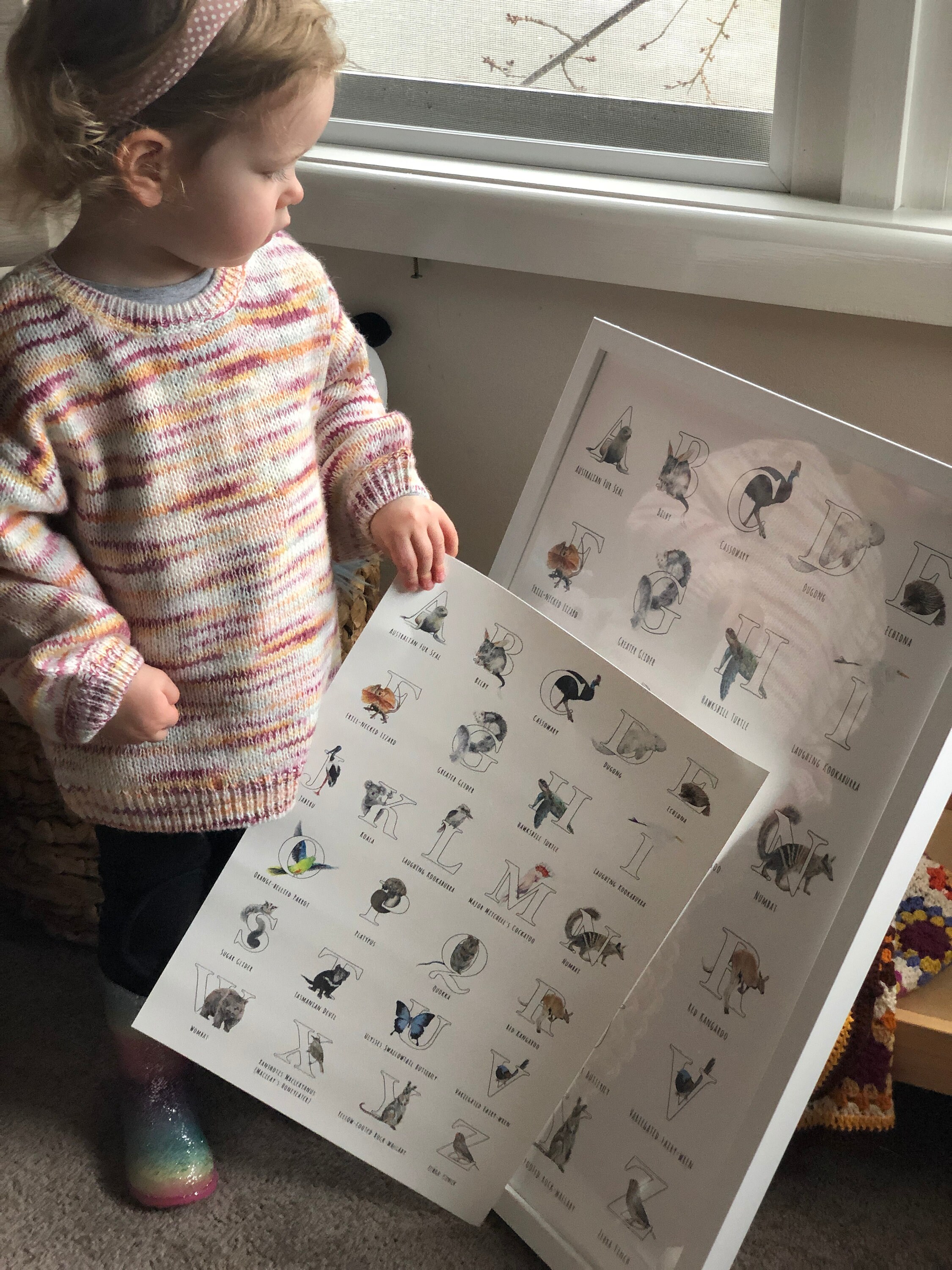 Alphabet Poster - Australian Animals - Etsy