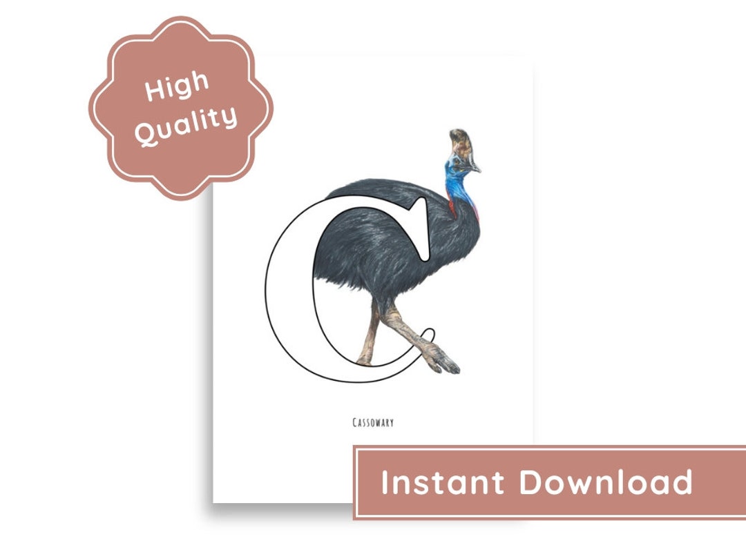 Cassowary 'C' Poster - Digital Download - Etsy