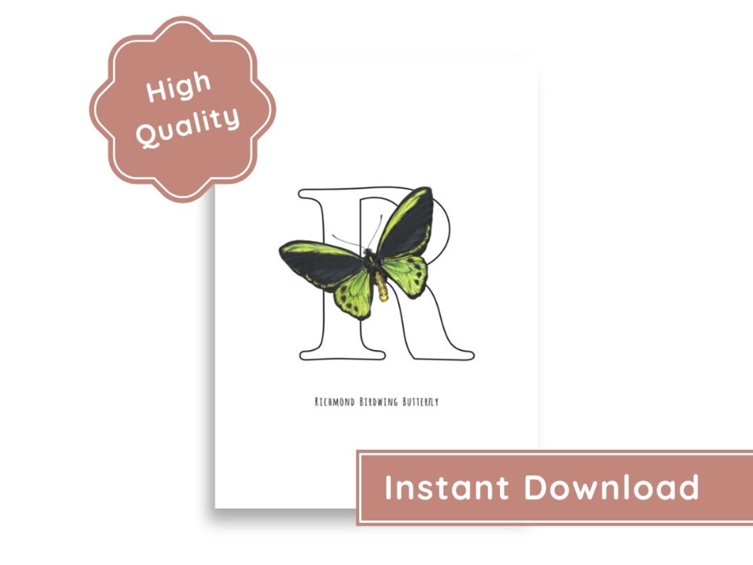 Richmond Birdwing Butterfly 'R' Poster - Digital Download - Etsy