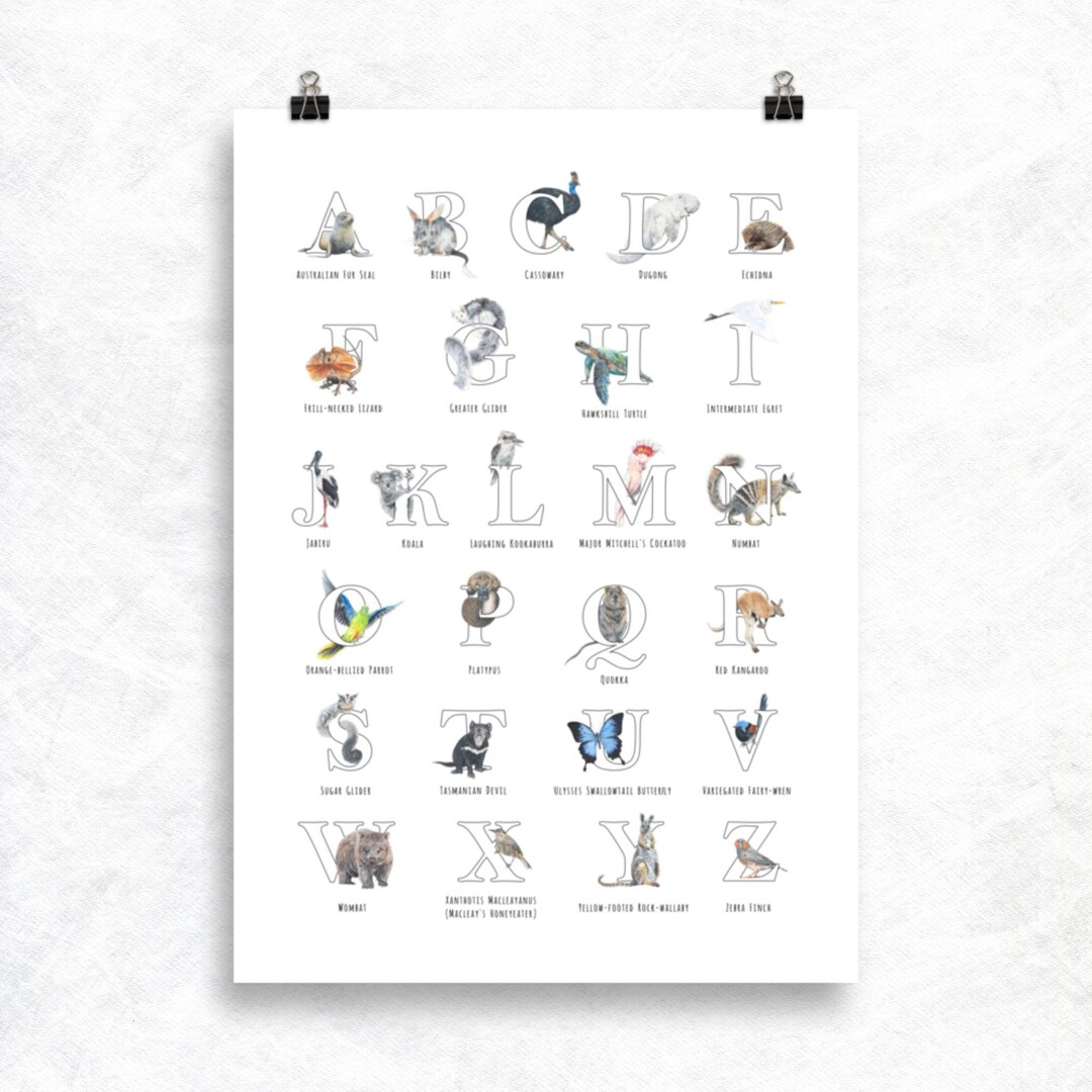 Alphabet Poster - Australian Animals - Etsy