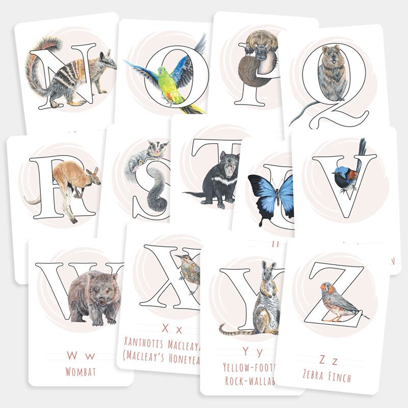 Alphabet Flashcards - Australian Animals | Montessori Flashcards | Hand ...