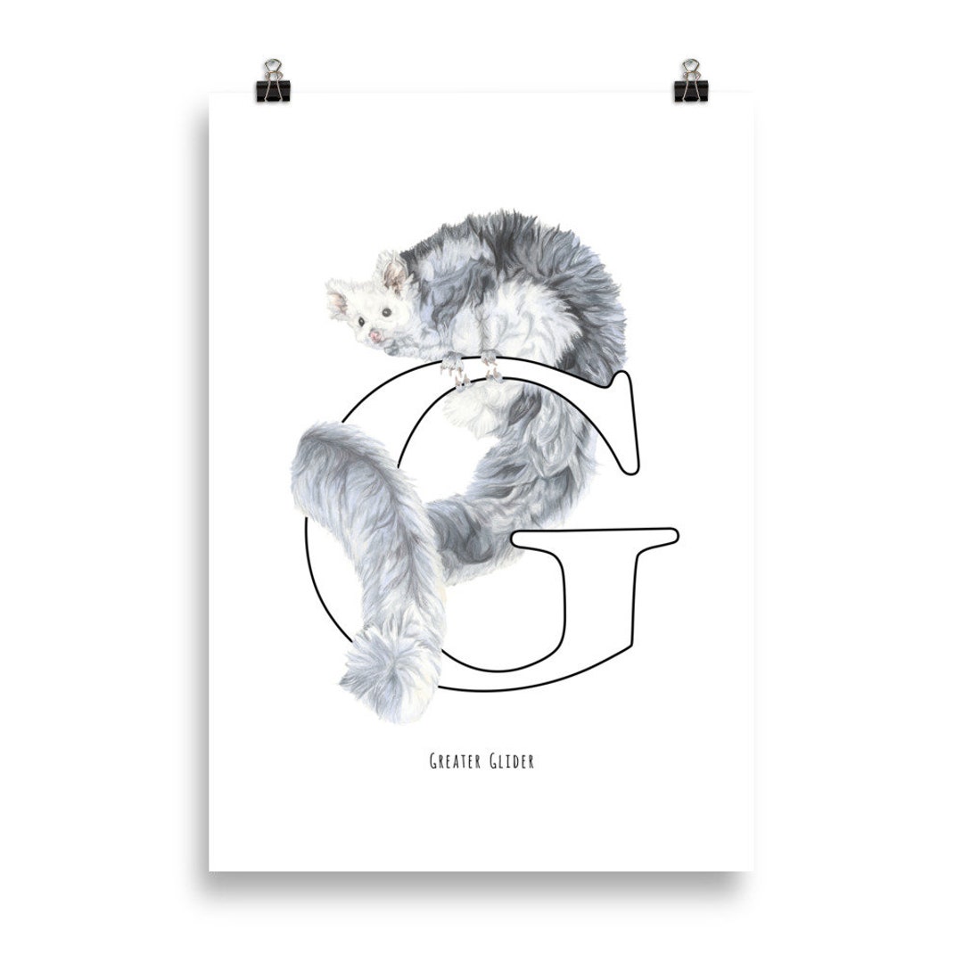 Greater Glider 'G' Poster - Fine Art Print - Etsy