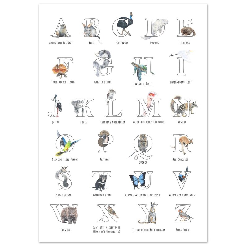 Australian Animals Alphabet Poster: Nursery Wall Art, Educational Print ...