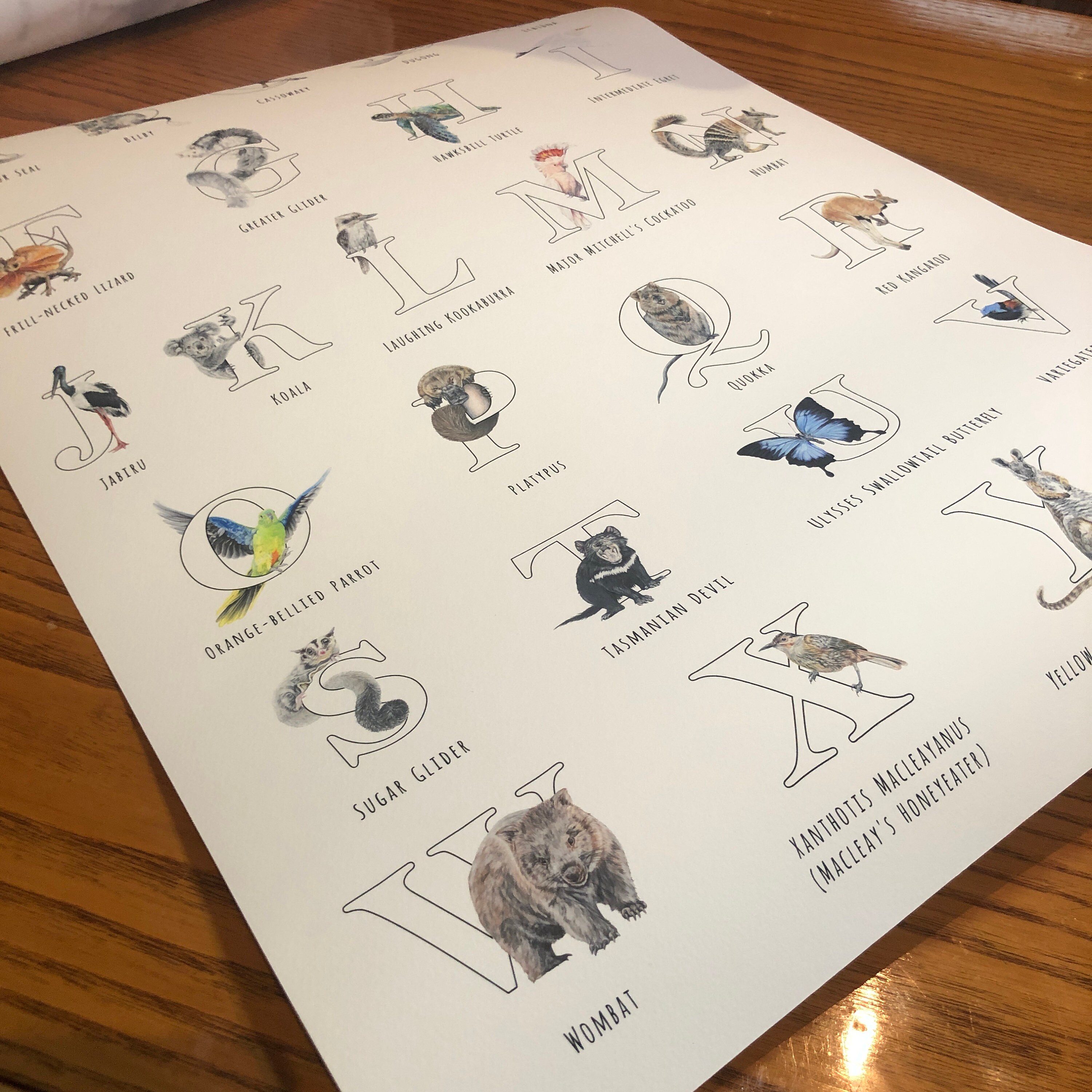Alphabet Poster - Australian Animals - Etsy