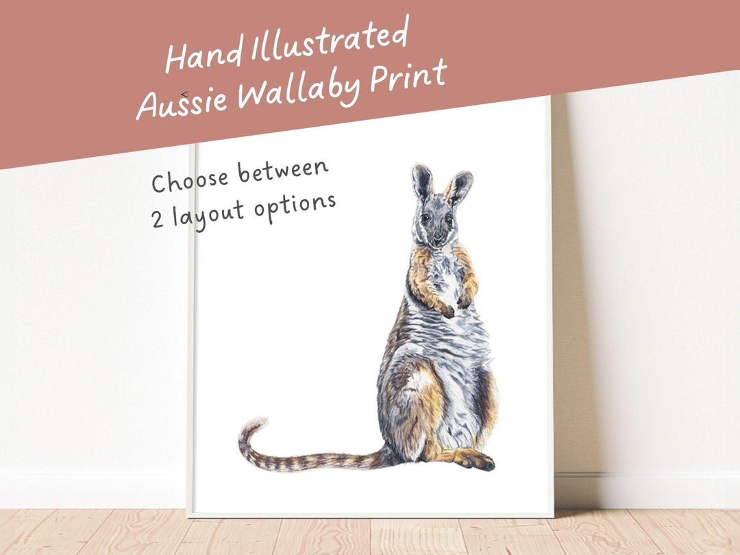 Yellow-footed Rock-wallaby Hand Illustrated Australian Animal Art Print ...