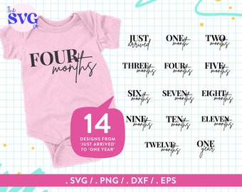 Baby Month SVG Month Milestone SVG First Year SVG (Download Now) - Etsy