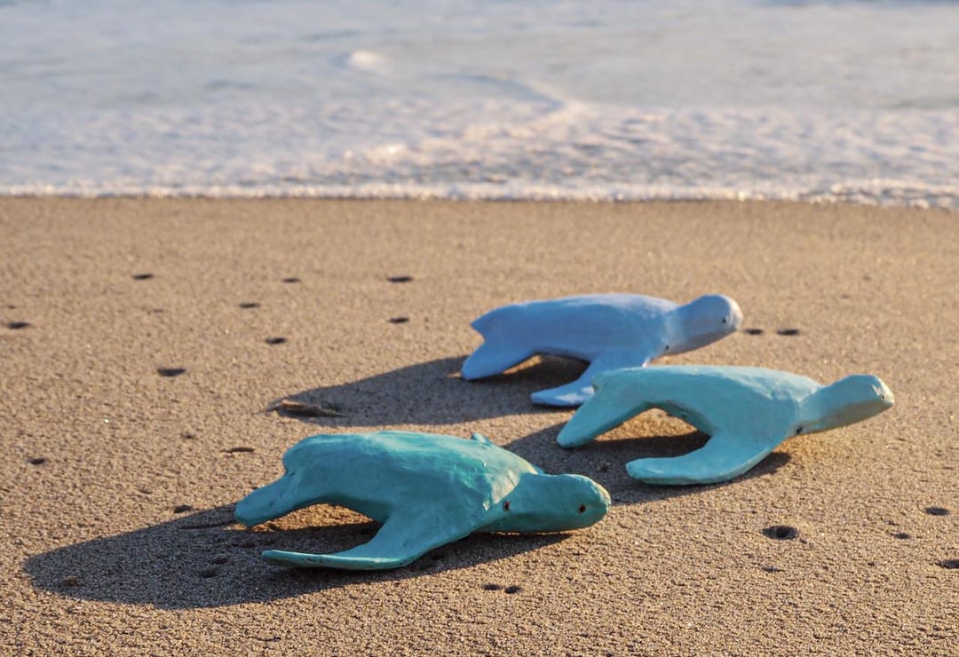 Colorful Keepsake Turtle Urn - Biodegradable Urn, Sea Turtle Urn ...