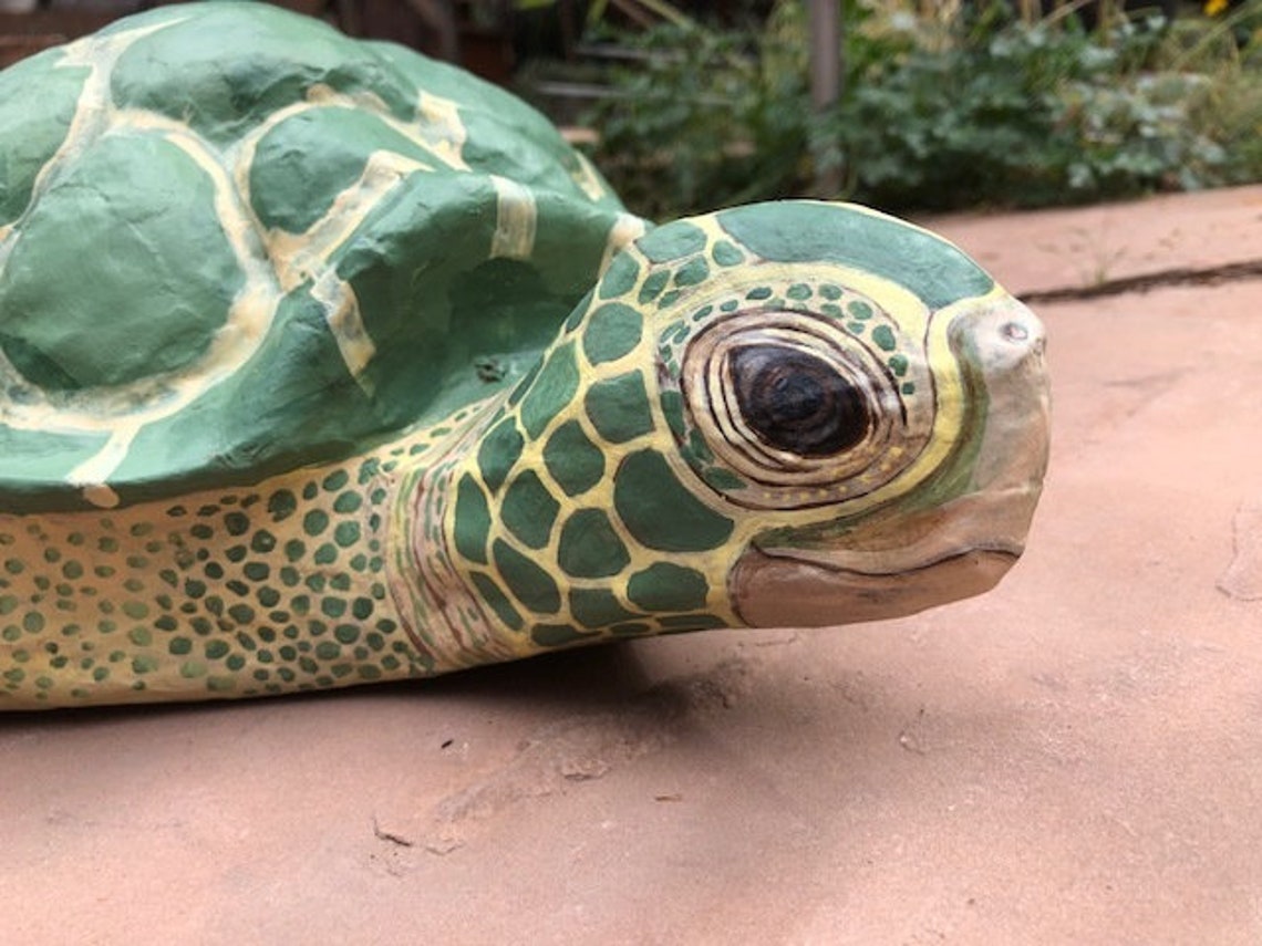 Large Turtle Urn 200 Lbs Biodegradable Urn Cremation - Etsy