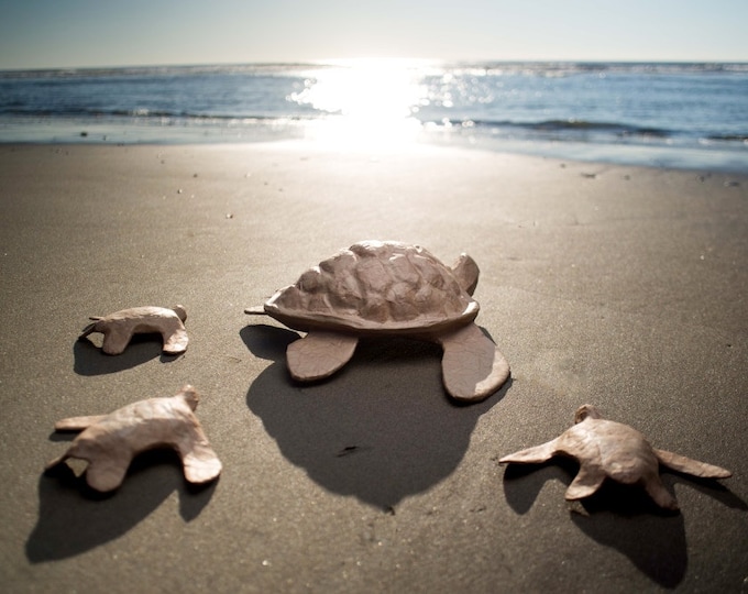 Large Turtle Urn 200 Lbs Biodegradable Urn, Cremation, Ocean Burial Urn ...