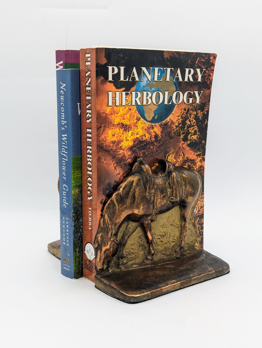 Vintage Horse Book Ends, Book Stops, Country and Western Horse Grazing ...