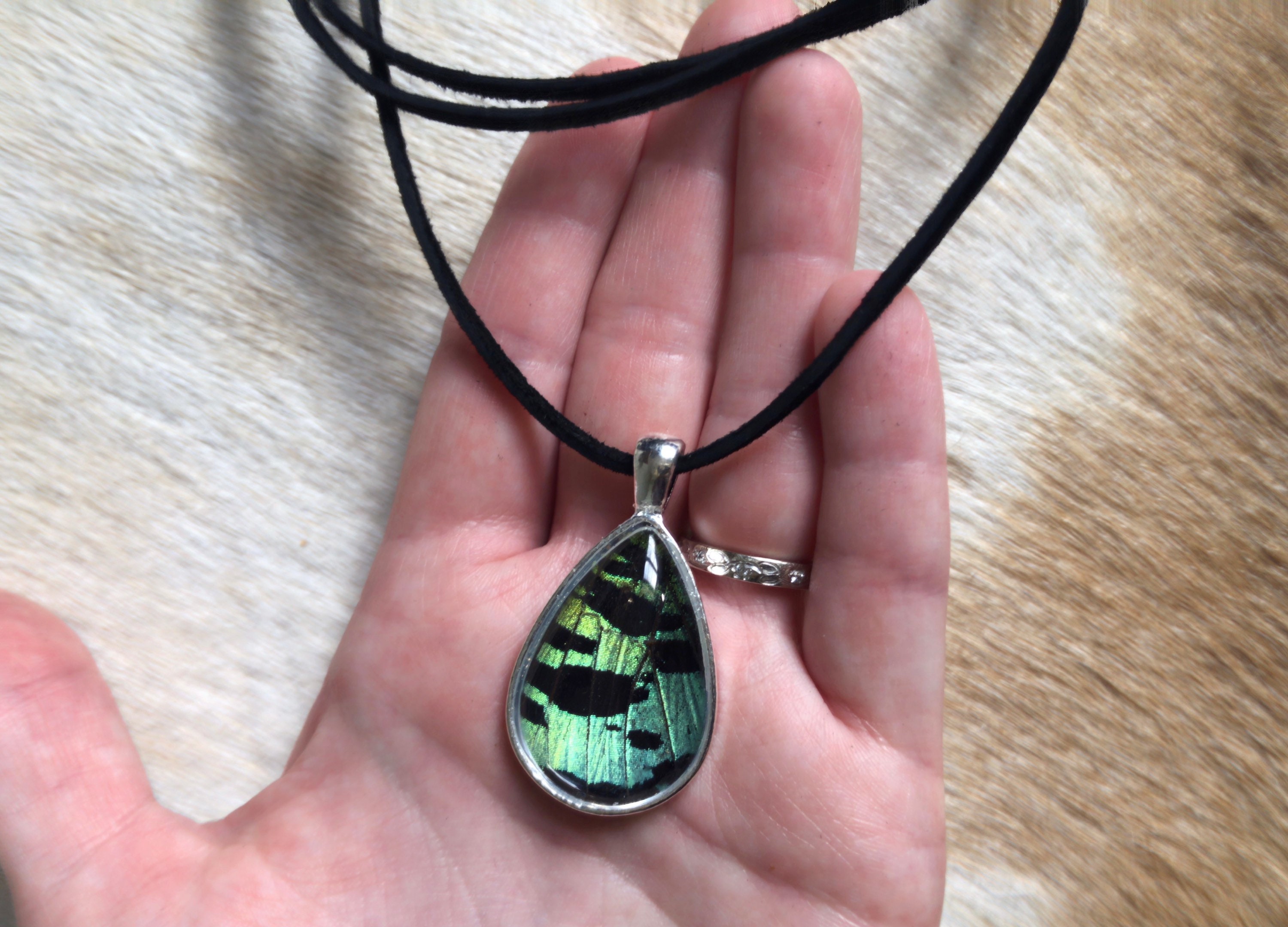 Real Butterfly Wing Choker / Leather Wrap Choker / Real Insect | Etsy