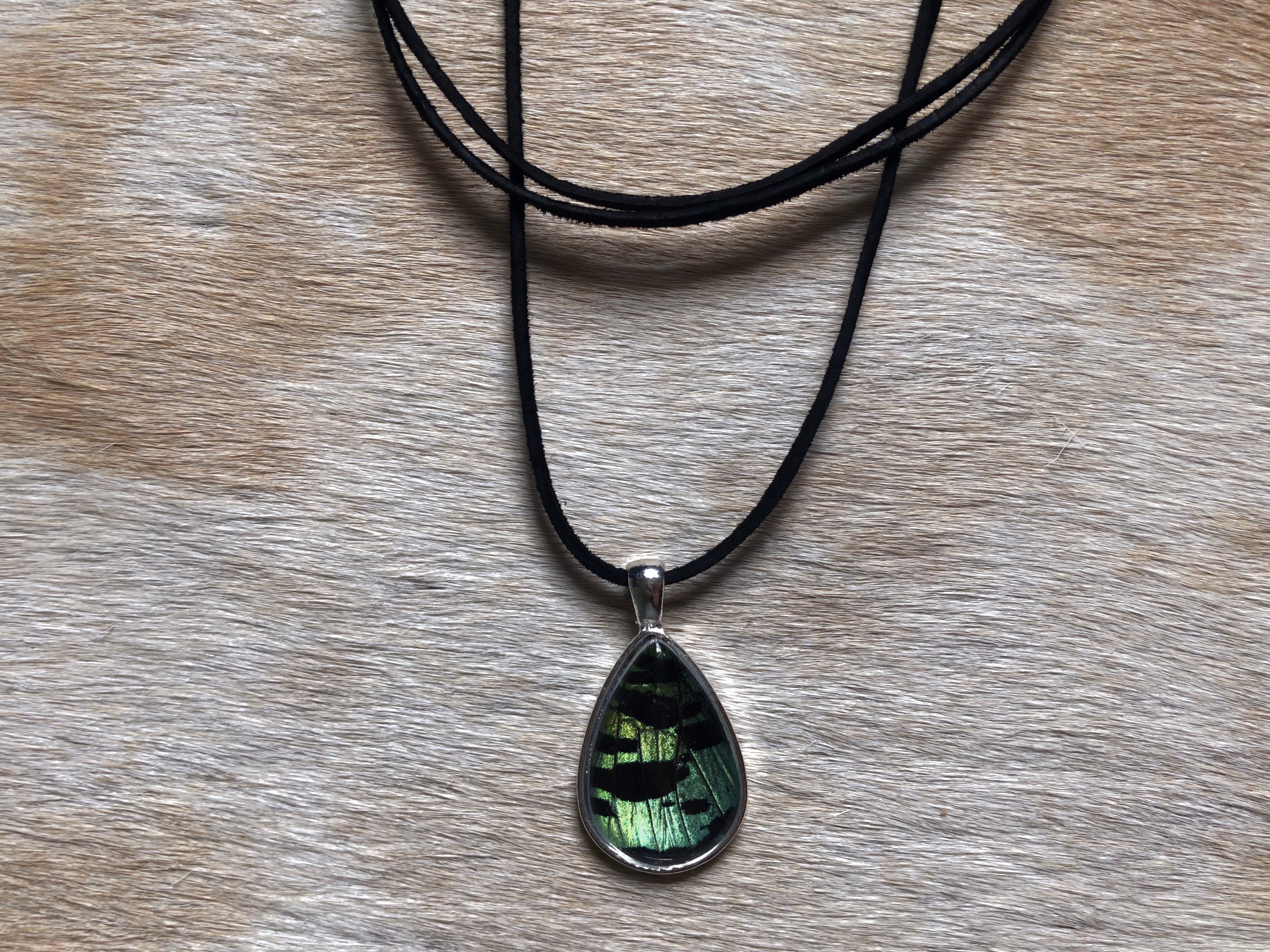 Real Butterfly Wing Choker / Leather Wrap Choker / Real Insect | Etsy