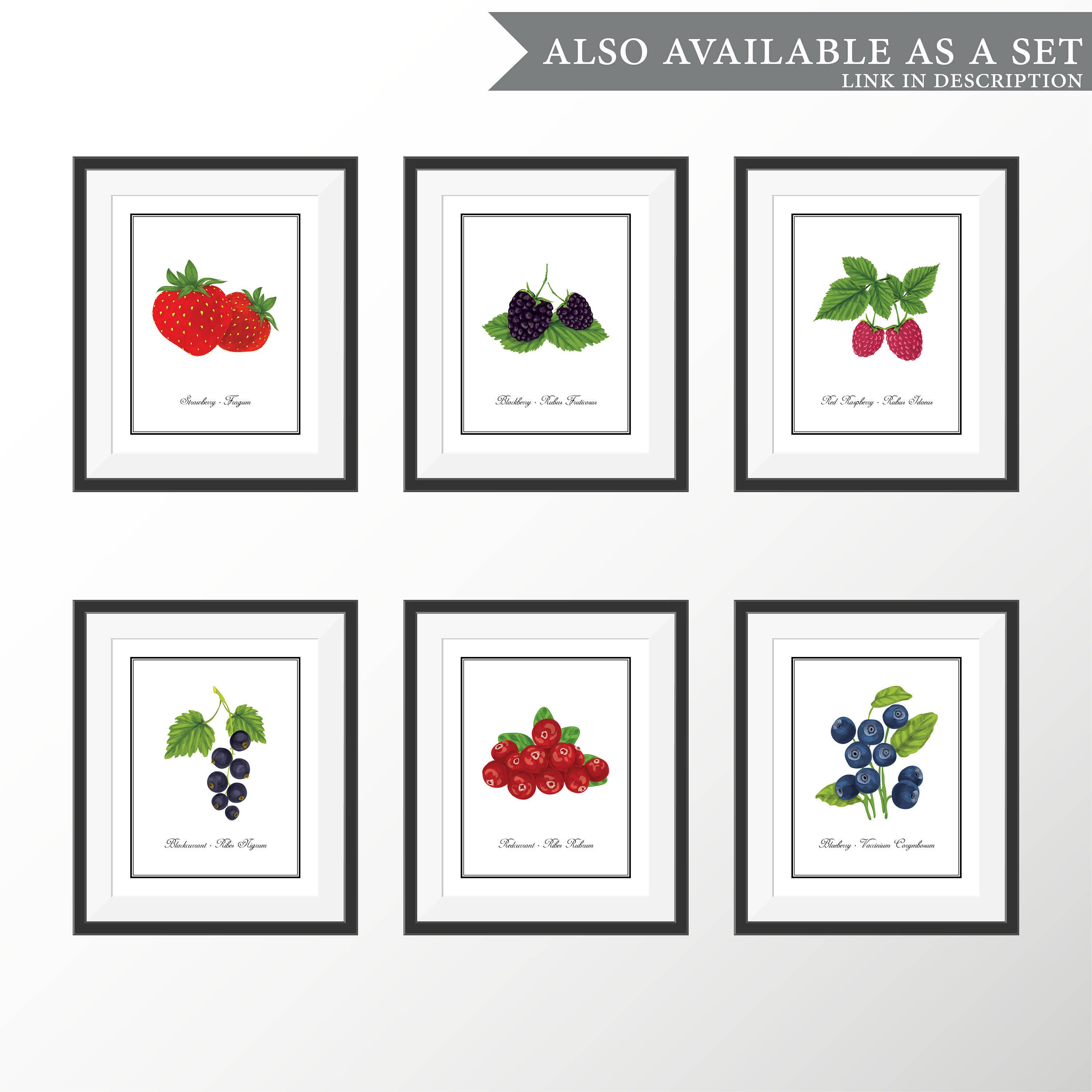 Blueberry Blueberries Kitchen Decor Kitchen Art Kitchen Prints ...