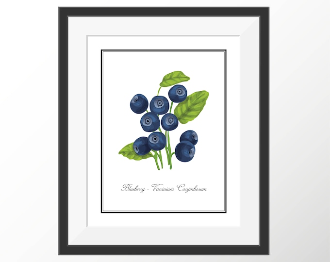 Mini Blueberry Prints, 4x4 - Etsy