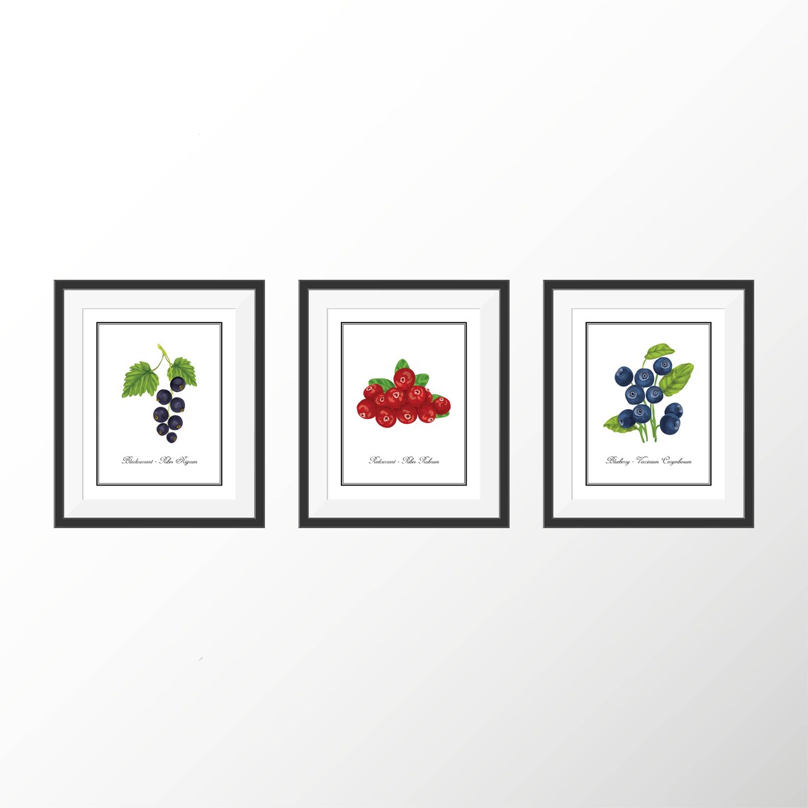 Botanical Prints Art Set Kitchen Art Prints Decor Kitchen Wall Decor ...