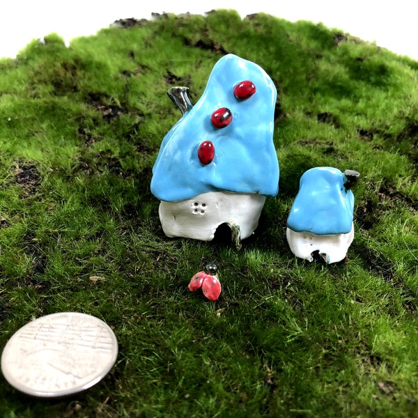 Ladybug House - Etsy