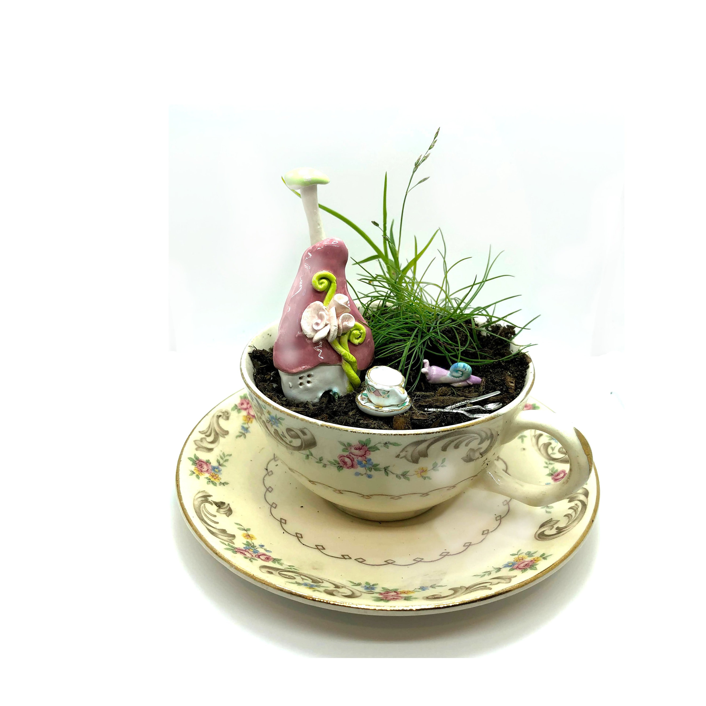 Teacup Garden - Etsy