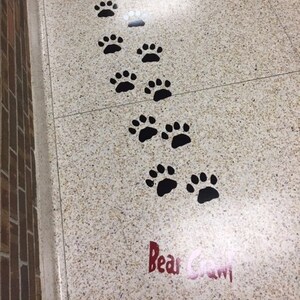 Bear Crawl Vinyl Sensory Path for School Floors | Etsy